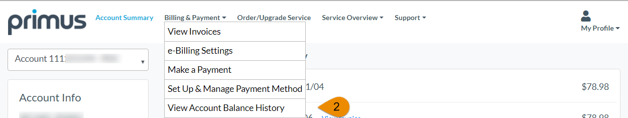 View account balance history